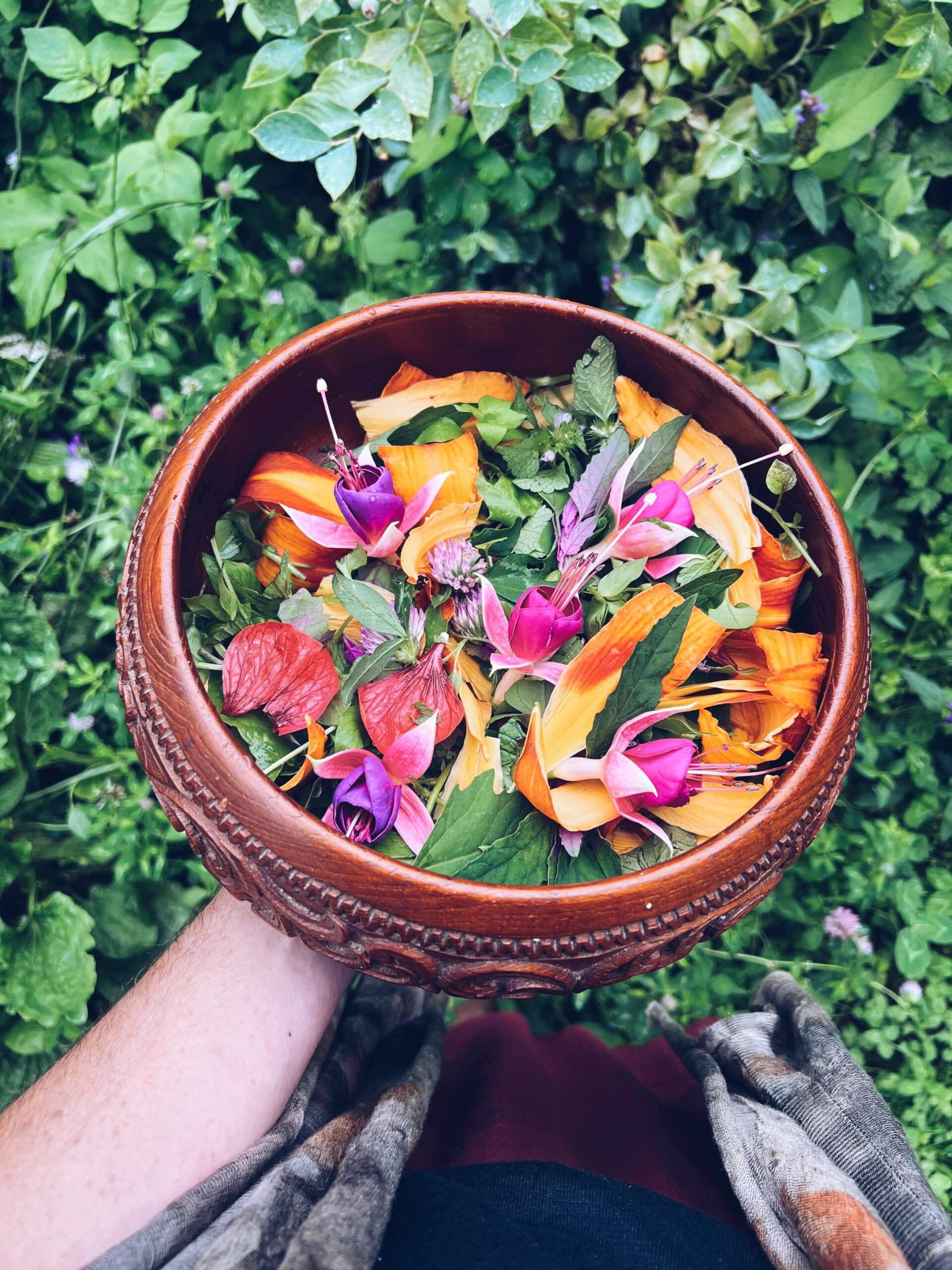 Forage & Feast on Wild Edible Plants - Earth Beat Festival NZ — Music ...