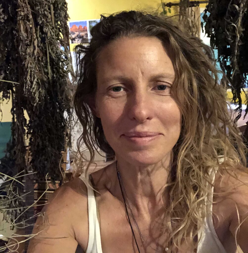 Healers Circle - Earth Beat Festival NZ — Music, Culture, Arts, Auckland
