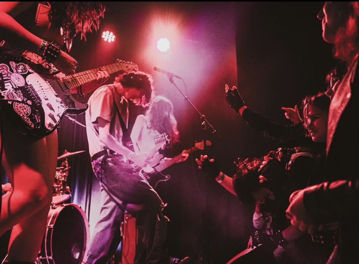 Buzz - Earth Beat Festival NZ — Music, Culture, Arts, Auckland