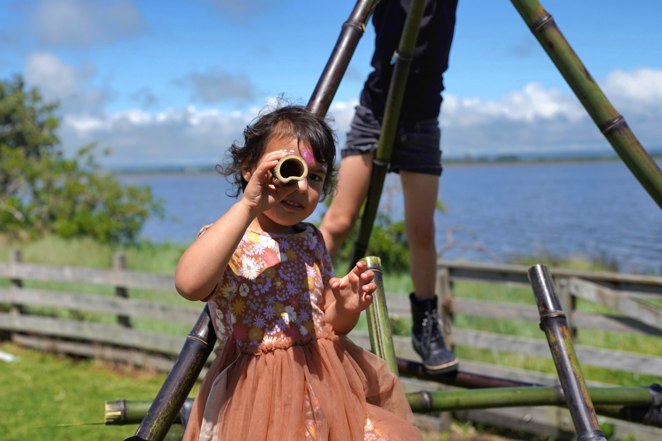 Bamboo Hut Building - Earth Beat Festival NZ — Music, Culture, Arts ...